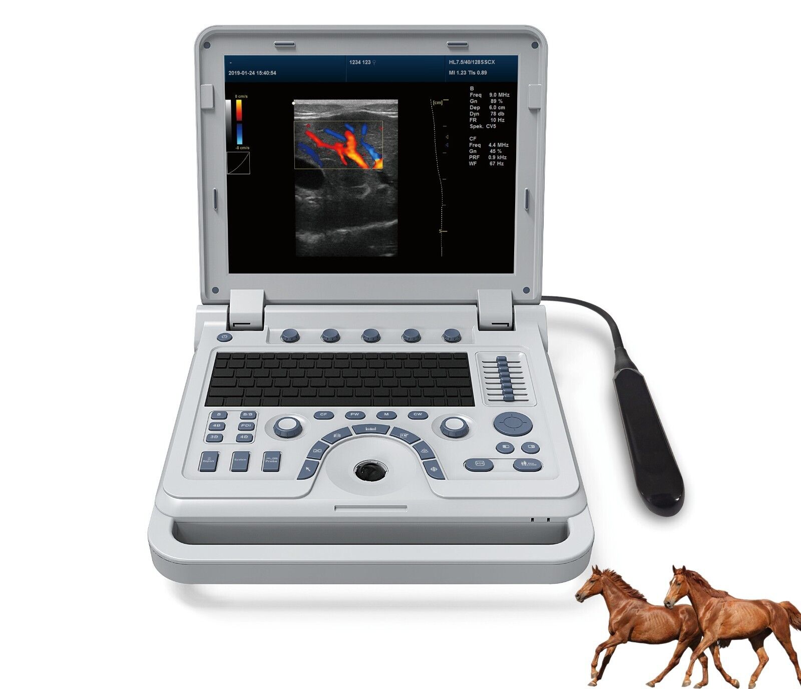 Portable Veterinary Ultrasound Scanner Machine Color Doppler LAPTOP ...